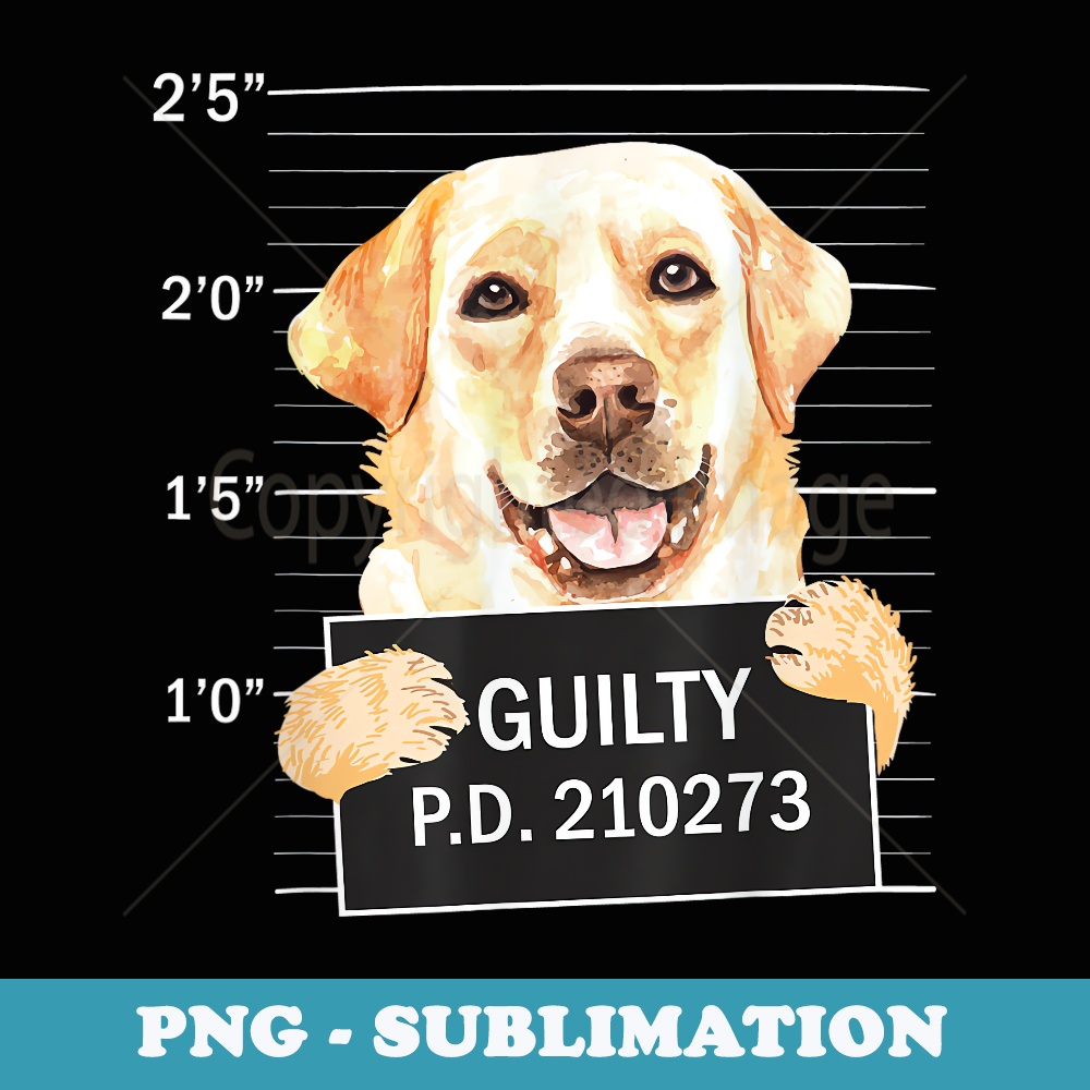 Guilty - Mugshot Black Labrador Retriever Dog Trainer Puppy | Inspire ...