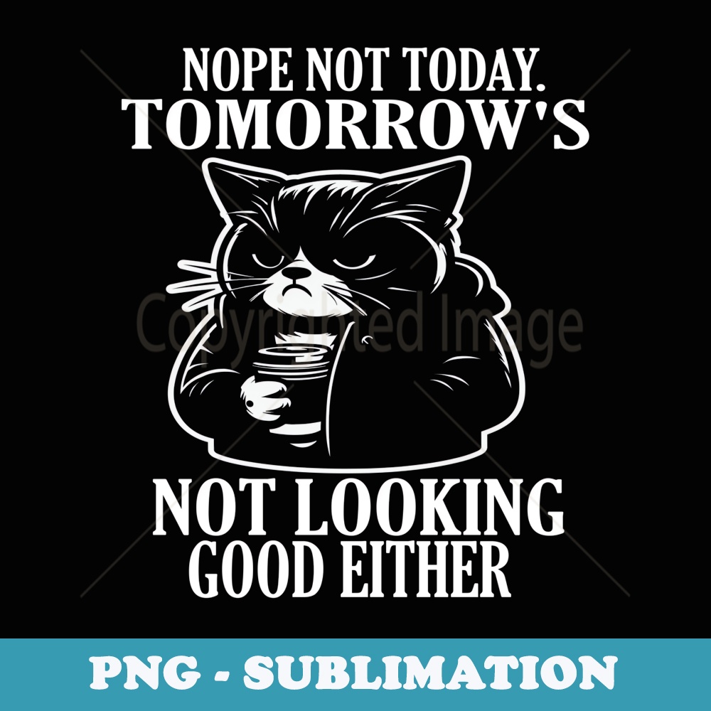 Nope Not Today Tomorrows Not Looking Good Either Funny Cat - | Inspire ...