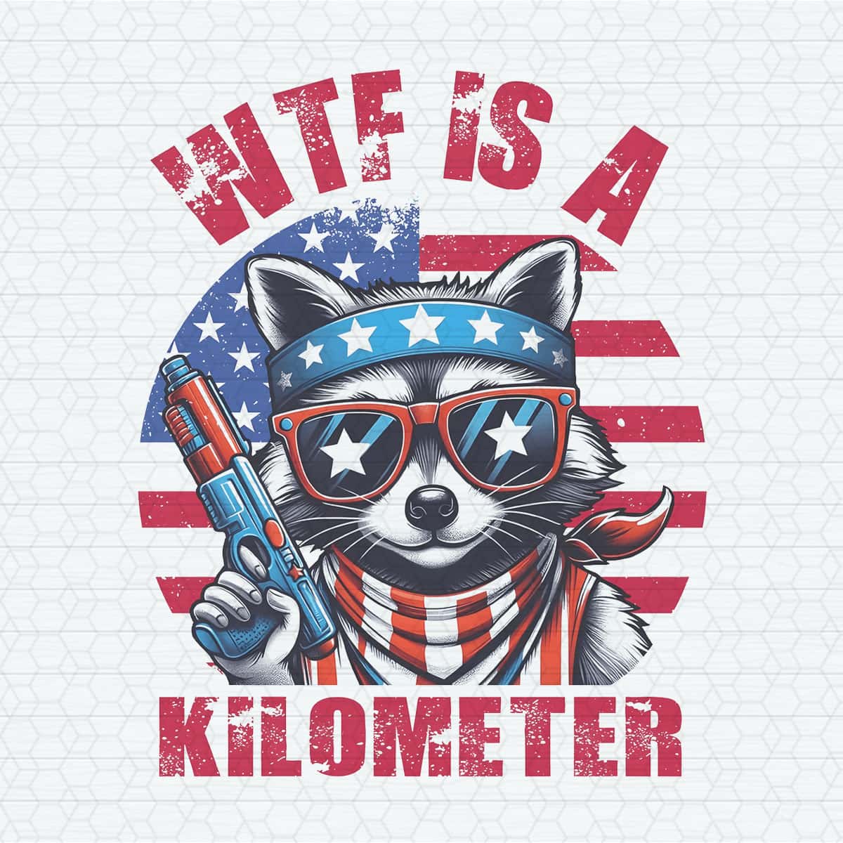 WTF Is A Kilometer Raccoon Meme PNG1 | Inspire Uplift