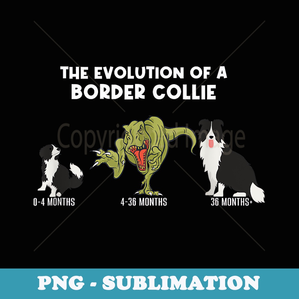 Border Collie Dog Mom The Evolution Of A Border Collie - PNG | Inspire ...
