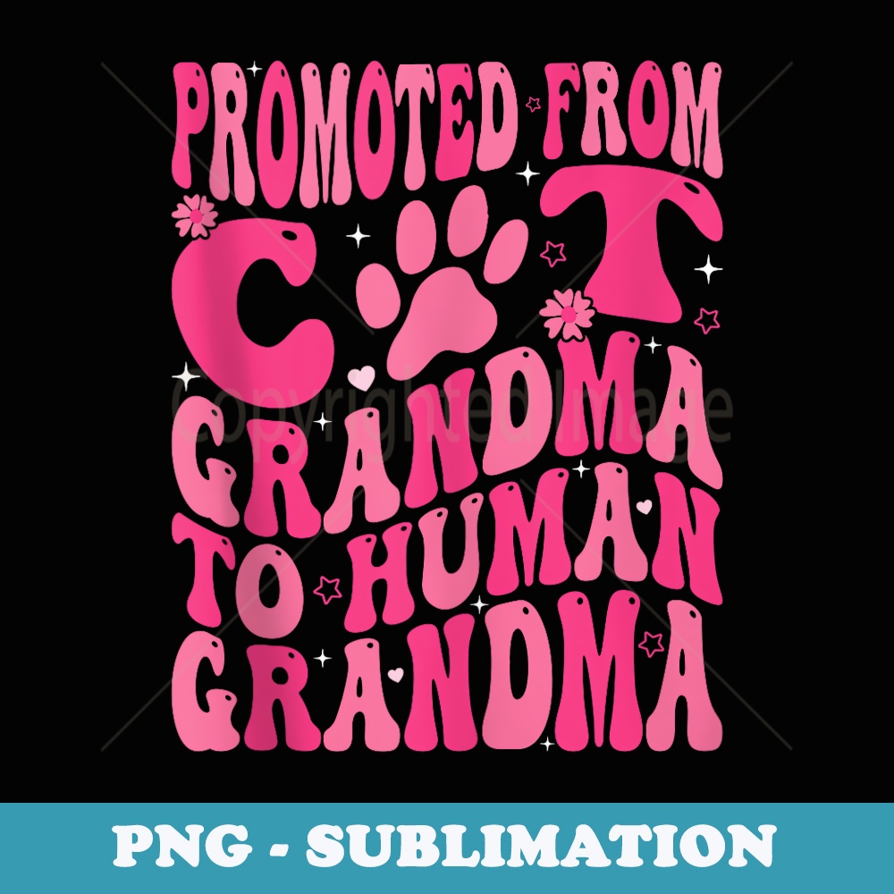 Promoted From Cat Grandma To Human Grandma Mothers Day - Pre | Inspire ...