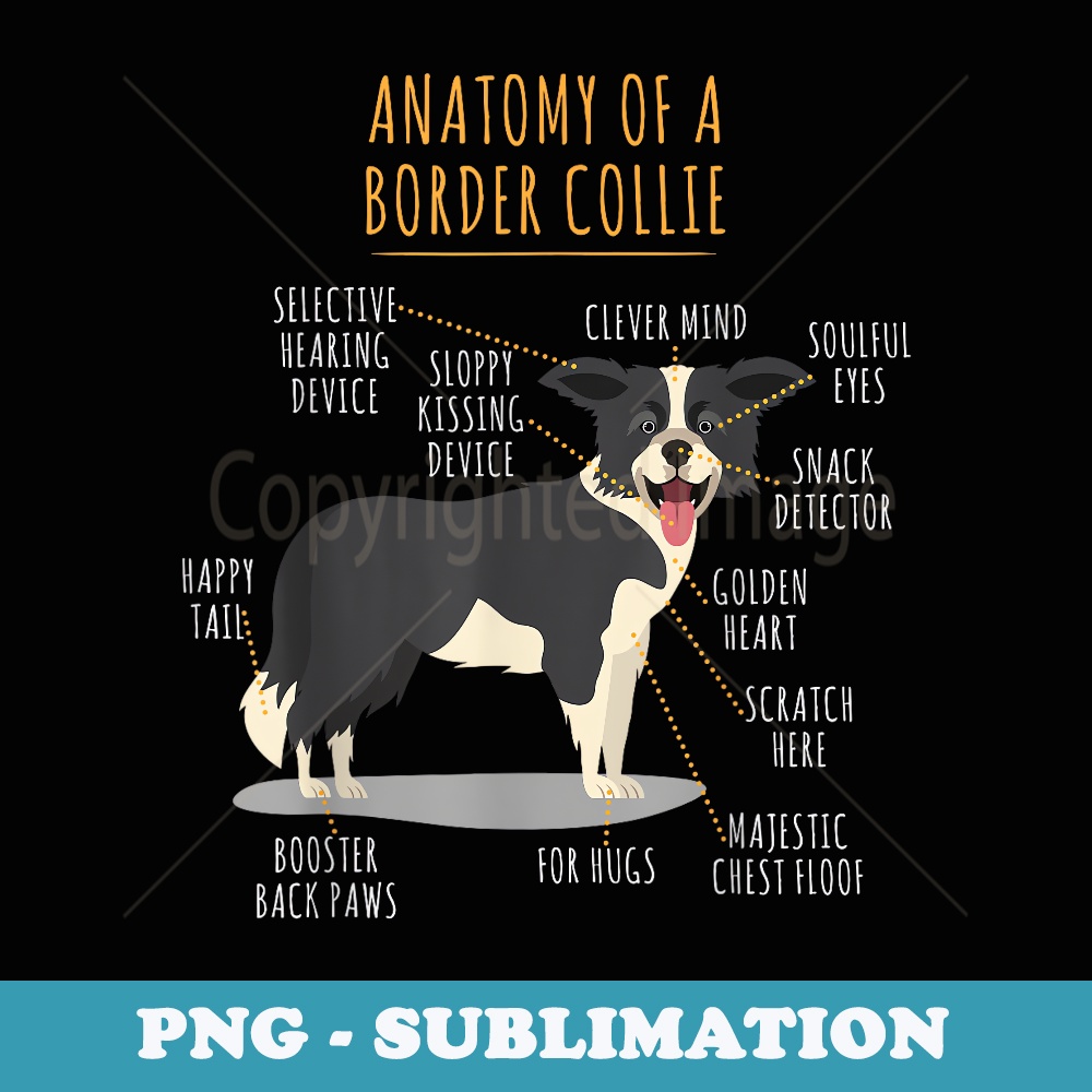 Funny Anatomy Of A Border Collie Intelligent Dog Breed - Sub | Inspire ...