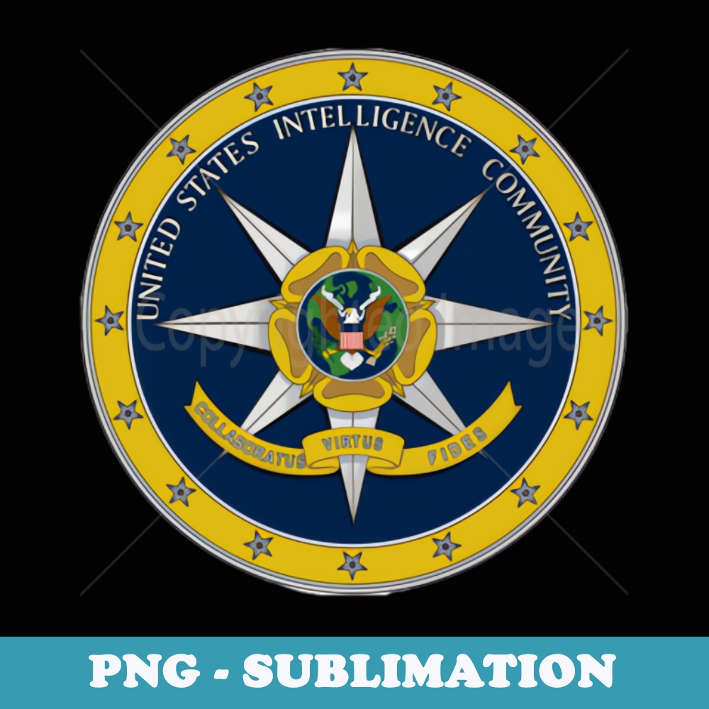 United States Intelligence Community ICs Top Secret Patches | Inspire ...