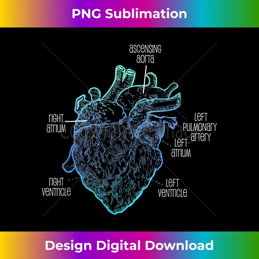 Parts Of Heart Cardiology Anatomical Cardiac 2 - PNG Transpa | Inspire ...