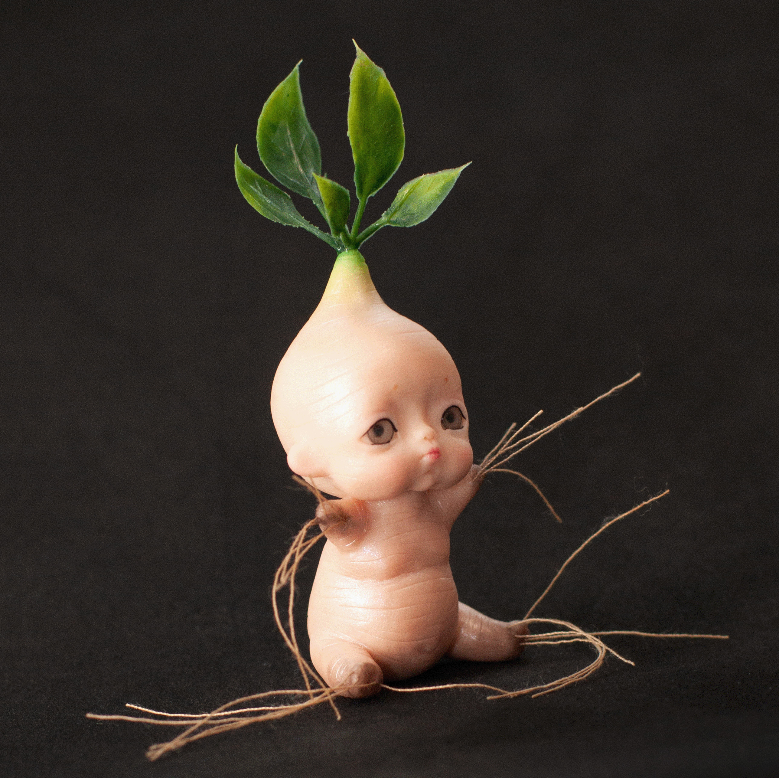 Mandrake root | Inspire Uplift