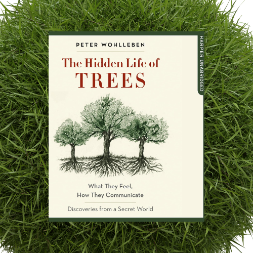 The Hidden Life of Trees: What They Feel, How They Communica | Inspire ...