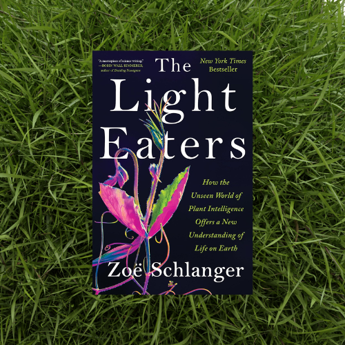 The Light Eaters: How the Unseen World of Plant Intelligence | Inspire ...
