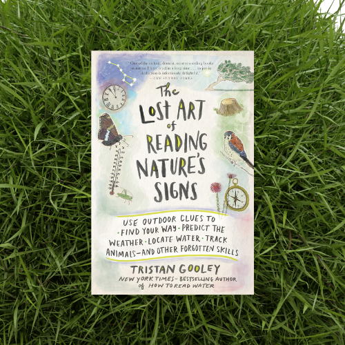 The Lost Art of Reading Nature's Signs: Use Outdoor Clues to | Inspire ...