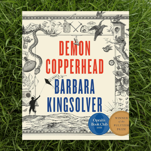 Demon Copperhead by Barbara Kingsolver | Inspire Uplift