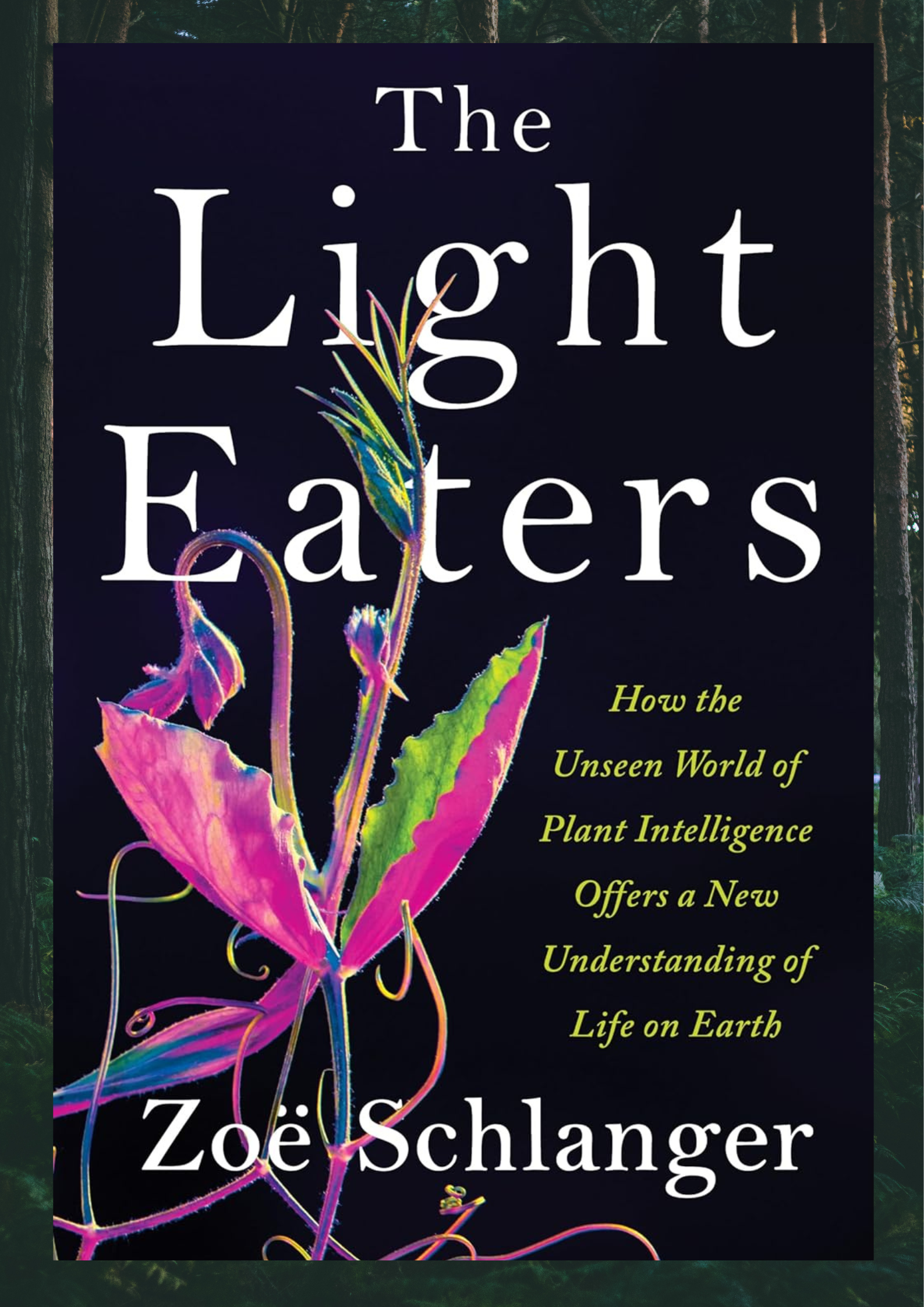 The Light Eaters By Zoe Schlanger | Inspire Uplift