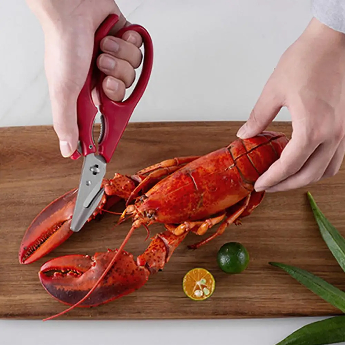Stainless Steel Scissors Sharp Shears for Lobster and Crabs | Inspire ...