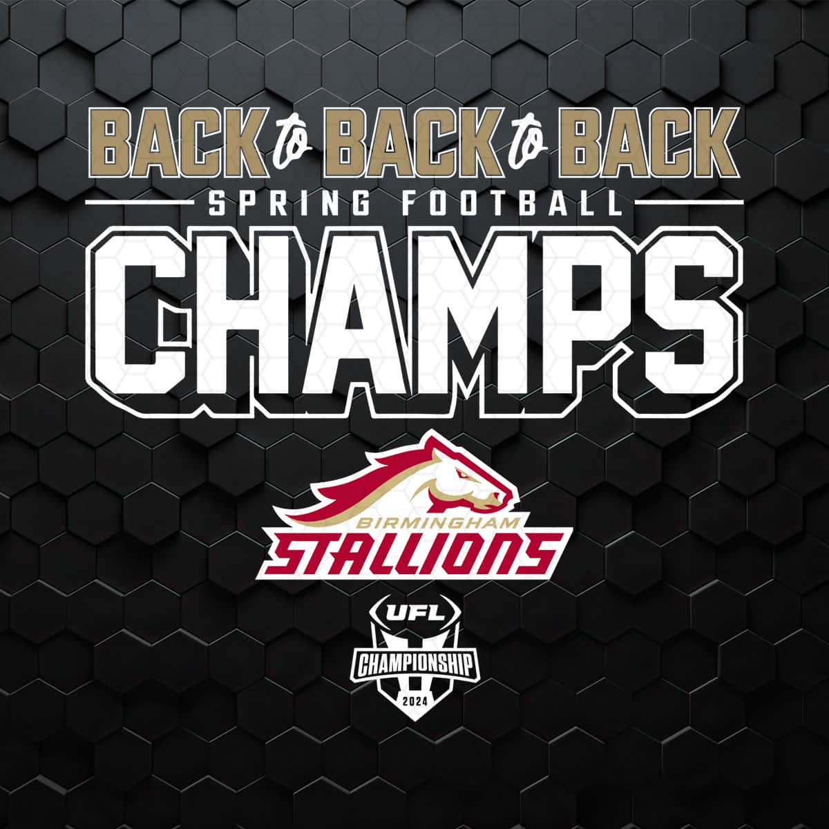 Stallions Back To Back To Back Spring Football Champs 2024 S | Inspire ...