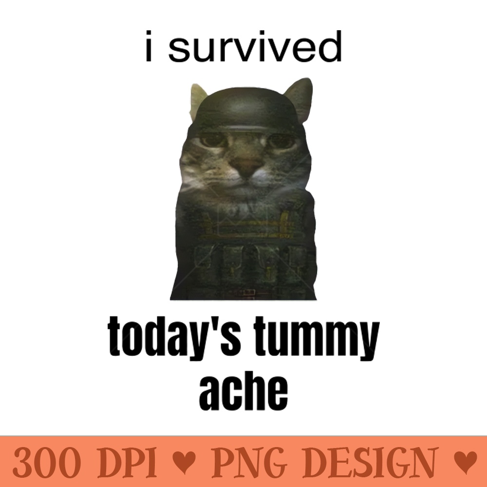 I Survived Todays Tummy Ache Funny Army Cat Tummy Ache Meme | Inspire ...