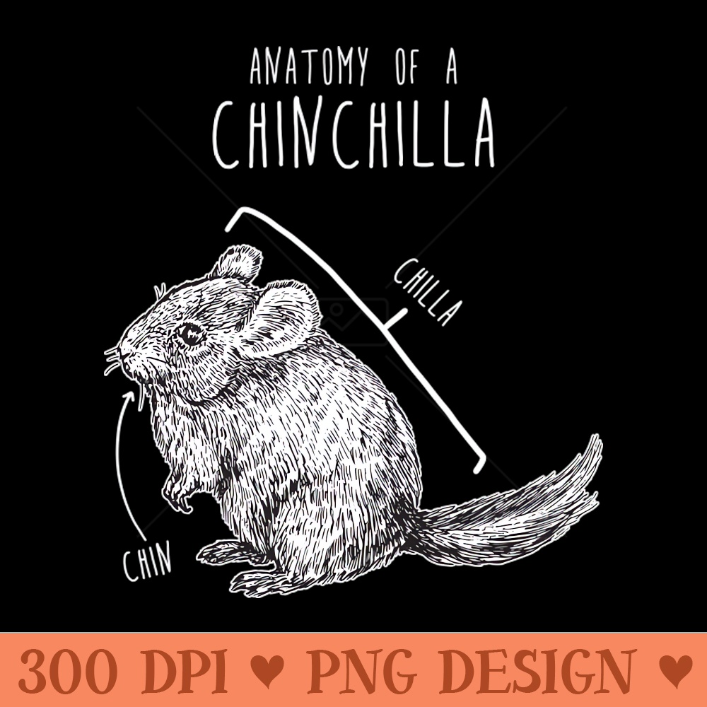 Chinchilla Anatomy - PNG Printables | Inspire Uplift