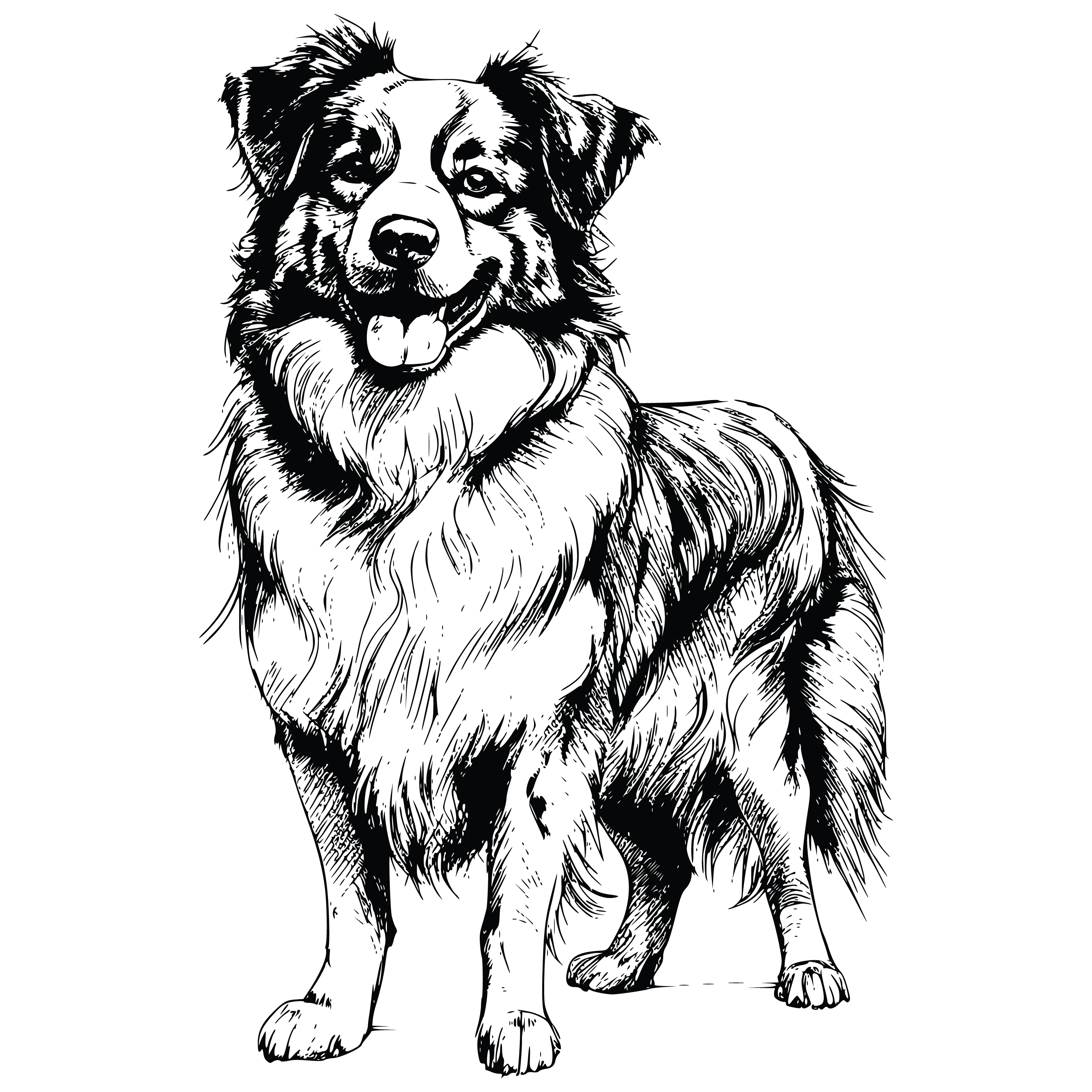 Australian Shepherd Dog SVG, Australian Shepherd SVG, Austra | Inspire ...