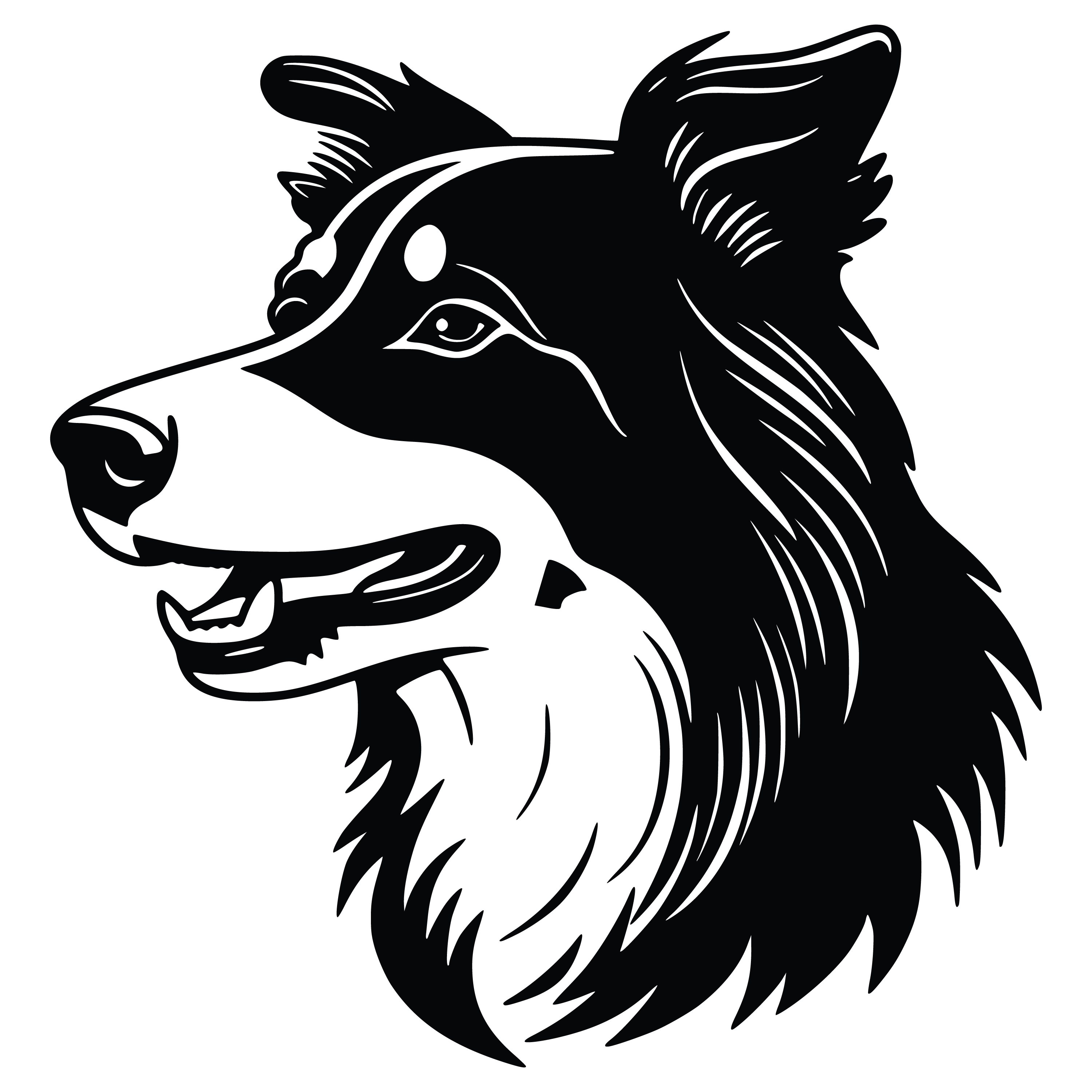 Border Collie SVG, Dog SVG, Border Collie PNG, Border Collie - Inspire ...
