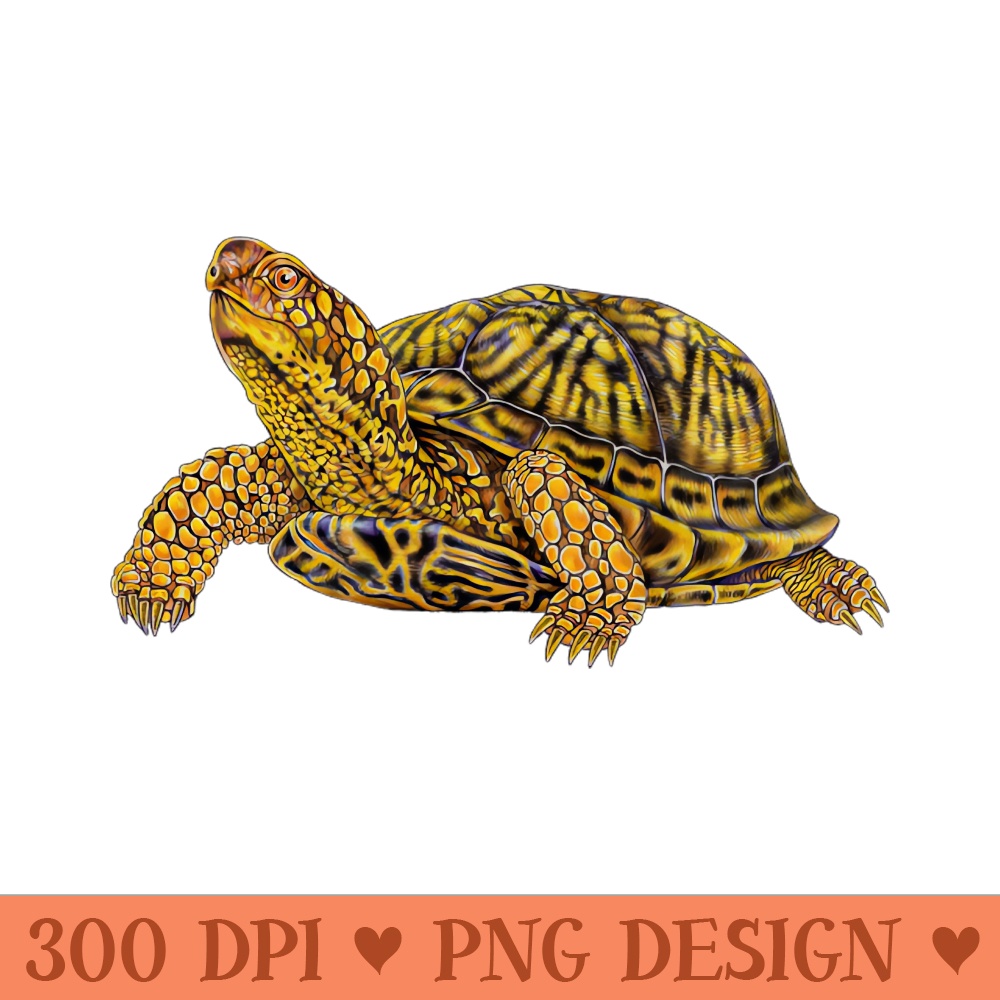 Box Turtle - PNG File Download - Inspire Uplift