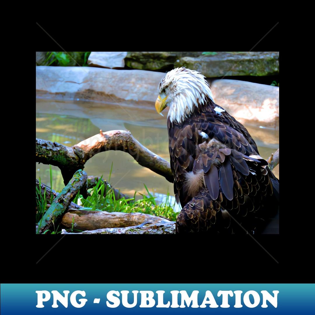 Bald Eagle - Premium Sublimation Digital Download | Inspire Uplift