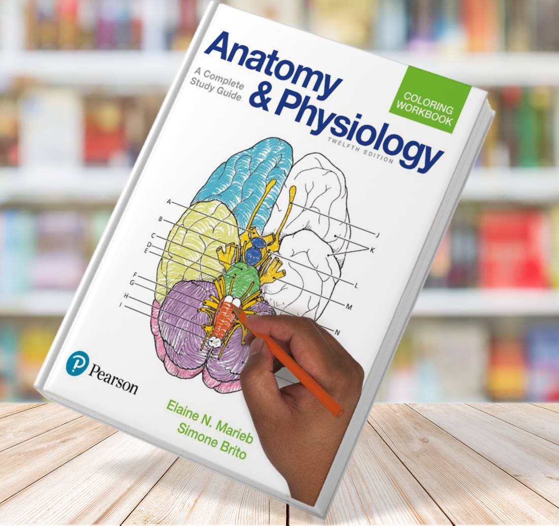 Anatomy and Physiology Coloring Workbook A Complete Study Gu | Inspire ...
