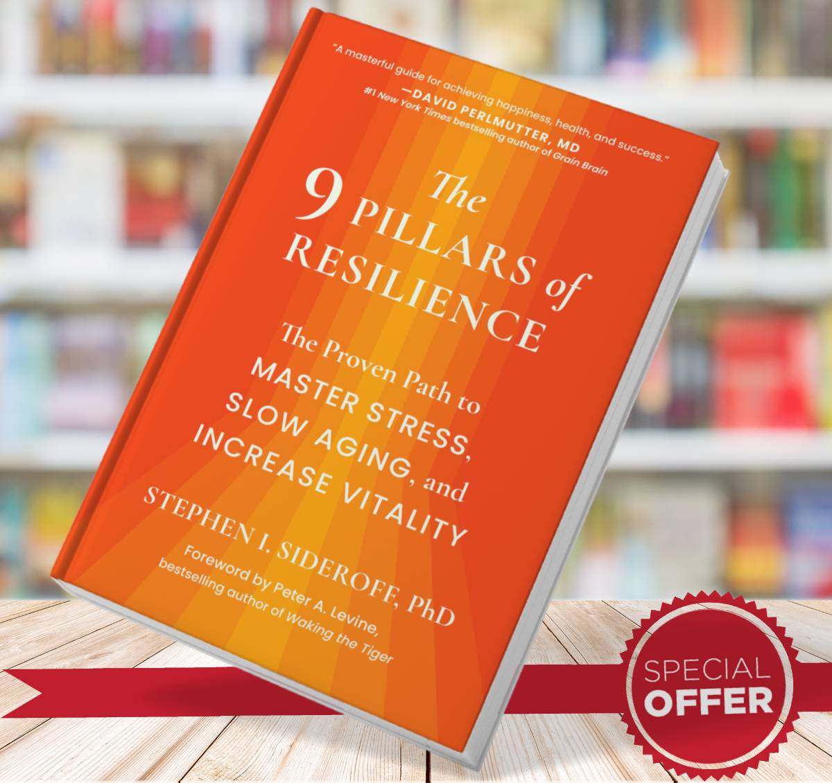 The 9 Pillars of Resilience Stephen I Sideroff PhD | Inspire Uplift