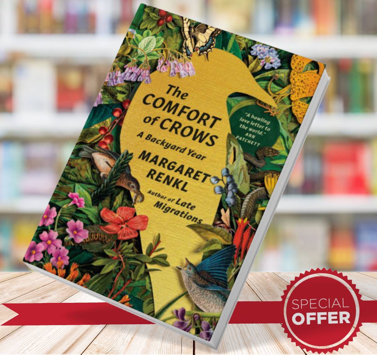 The Comfort of Crows- A Backyard | Inspire Uplift