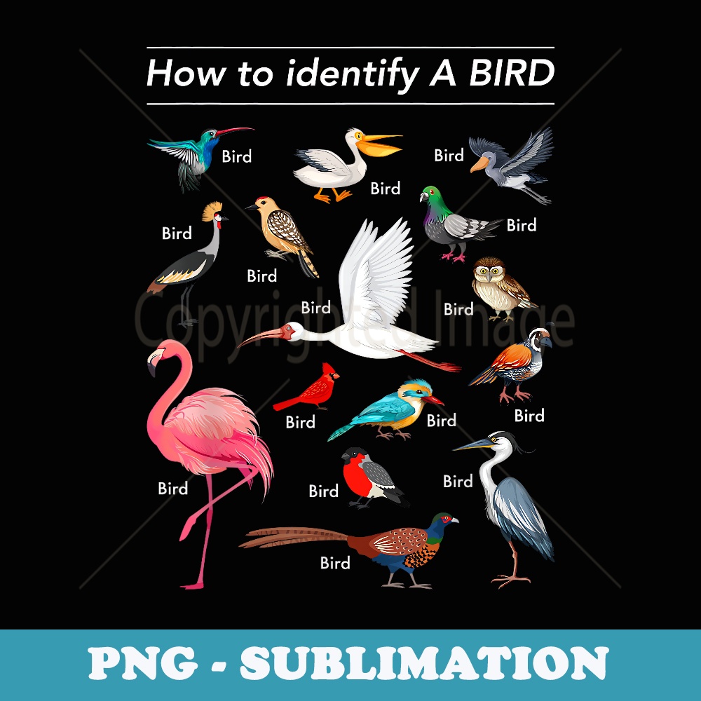 Funny Birdwatcher Lover Birdwatching How To Identify A Bird | Inspire ...