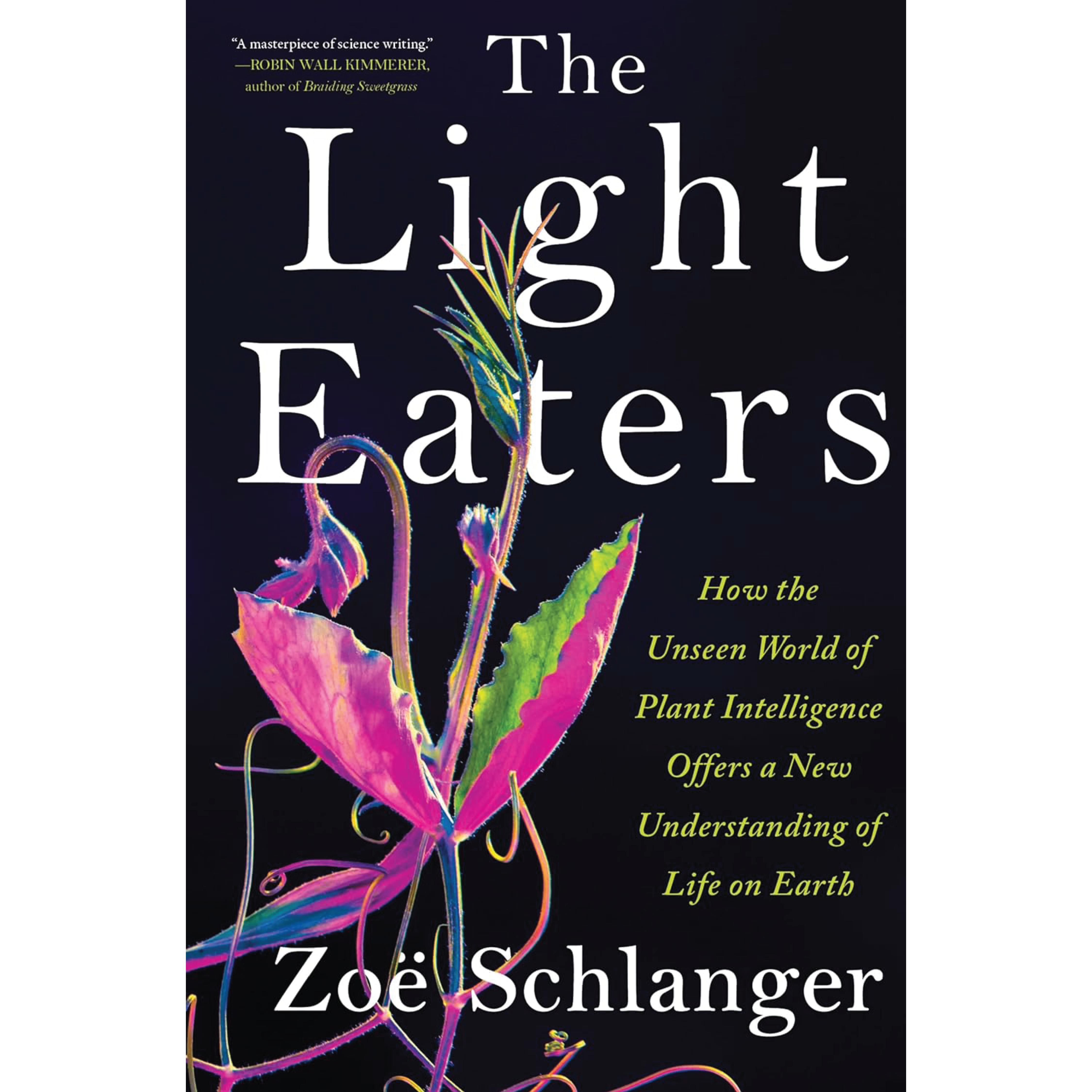 The Light Eaters How the Unseen World of Plant Intelligence | Inspire ...