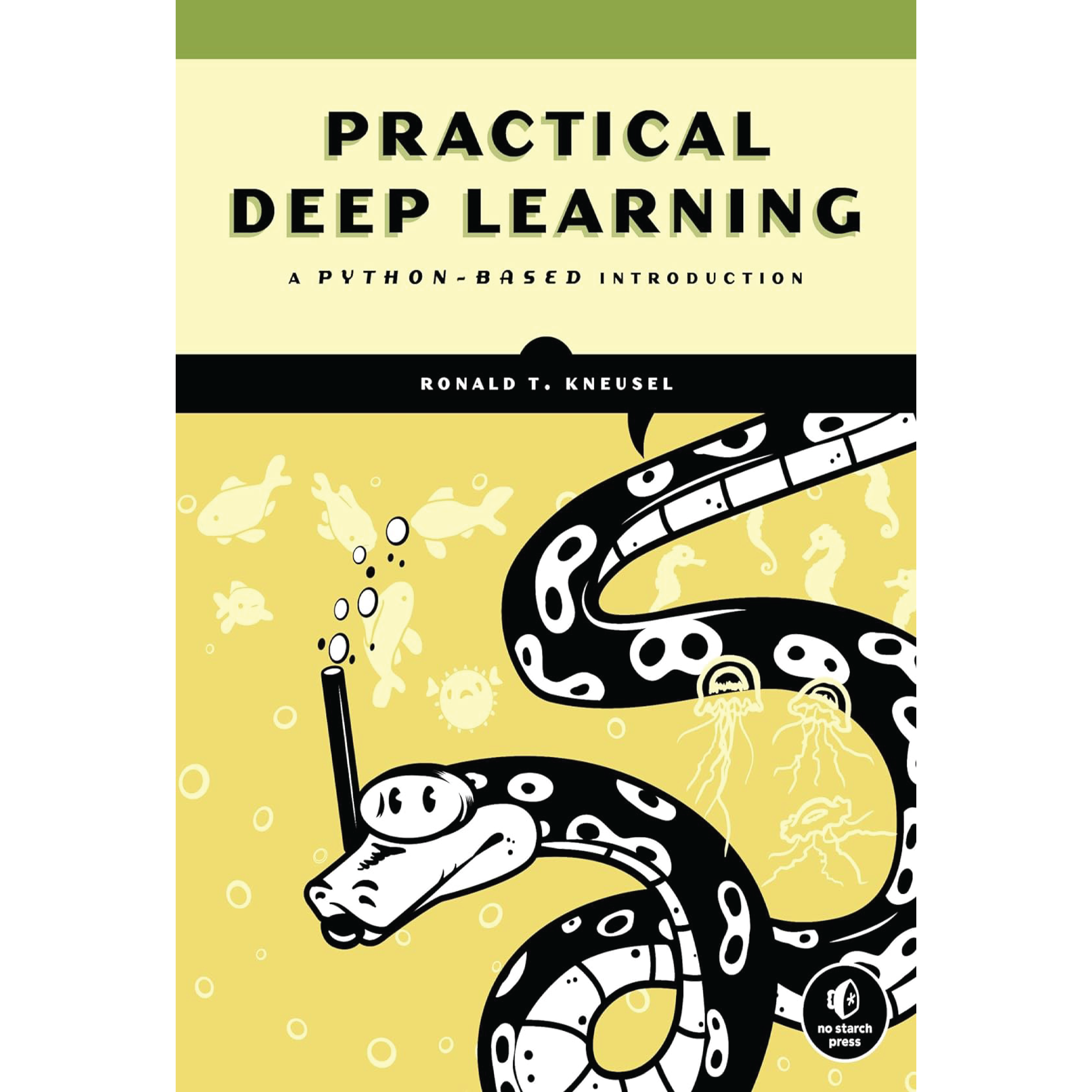 Practical Deep Learning: A Python-Based Introduction | Inspire Uplift