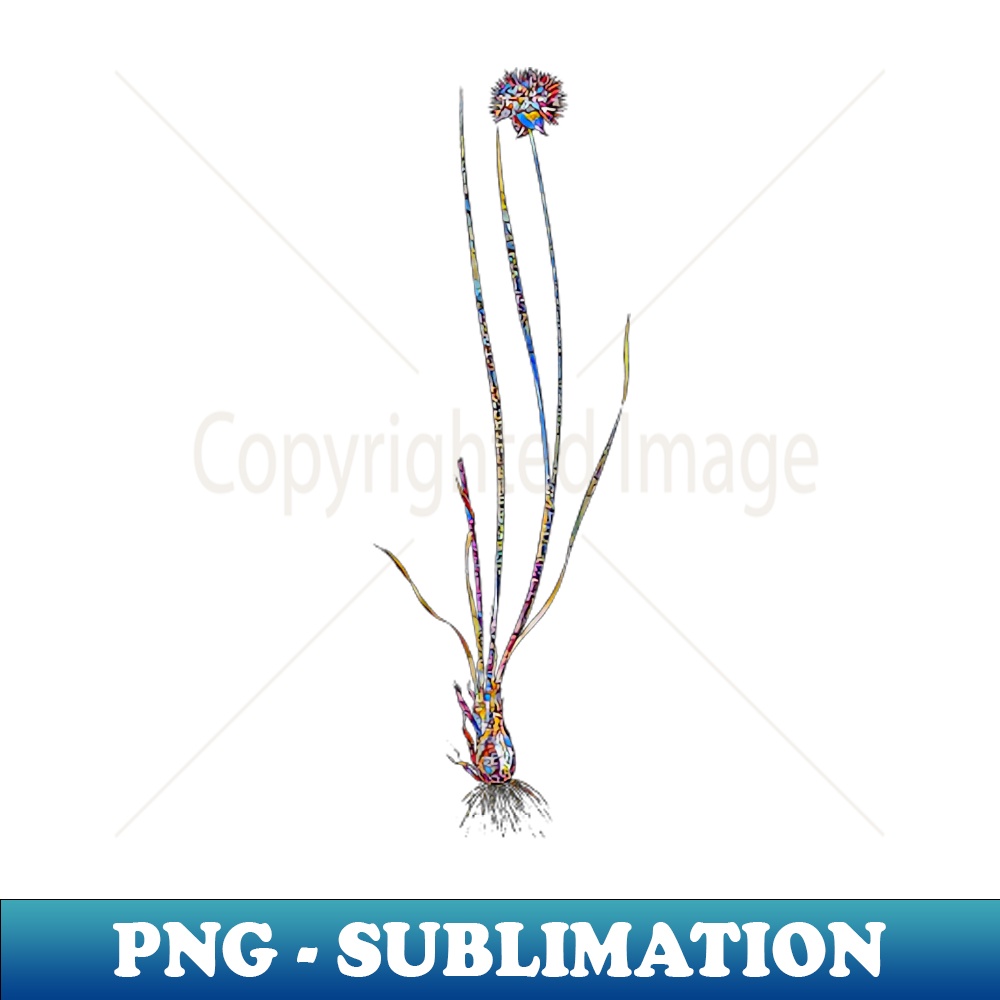 Stained Glass Allium Foliosum Botanical Illustration - Premi | Inspire ...