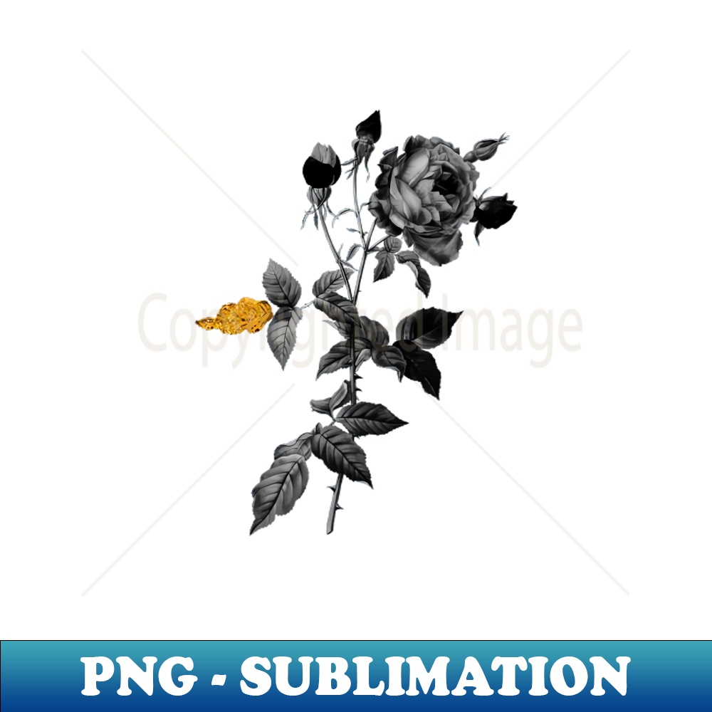 Black and Gold Leaf - Blooming Provence Rose - Vintage Botan | Inspire ...
