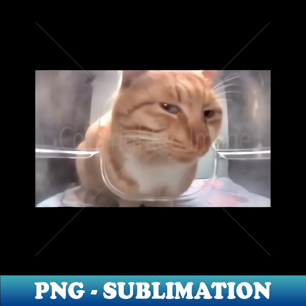 Funny Cat Meme Side Eye Eating Cat Mr Fresh Cat Trend - Digi | Inspire ...