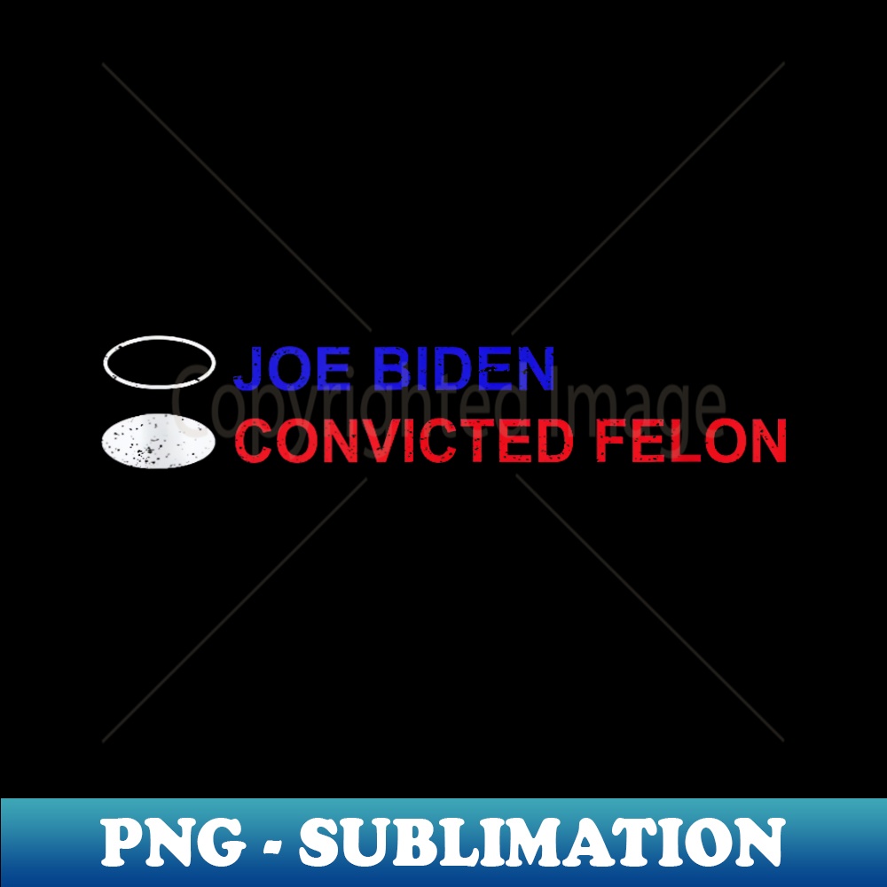 Joe Biden Vs Convicted Felon Funny Ballot Paper Voting - Sig | Inspire ...