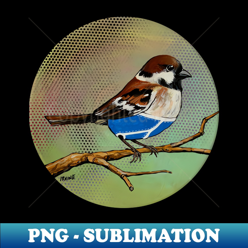 House Sparrow Wearing Over-priced Vintage Y Fronts - Special | Inspire ...