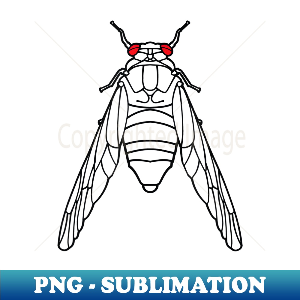 Cicada Drawing Outline with Red Eyes Graphic - Retro PNG Sub | Inspire ...