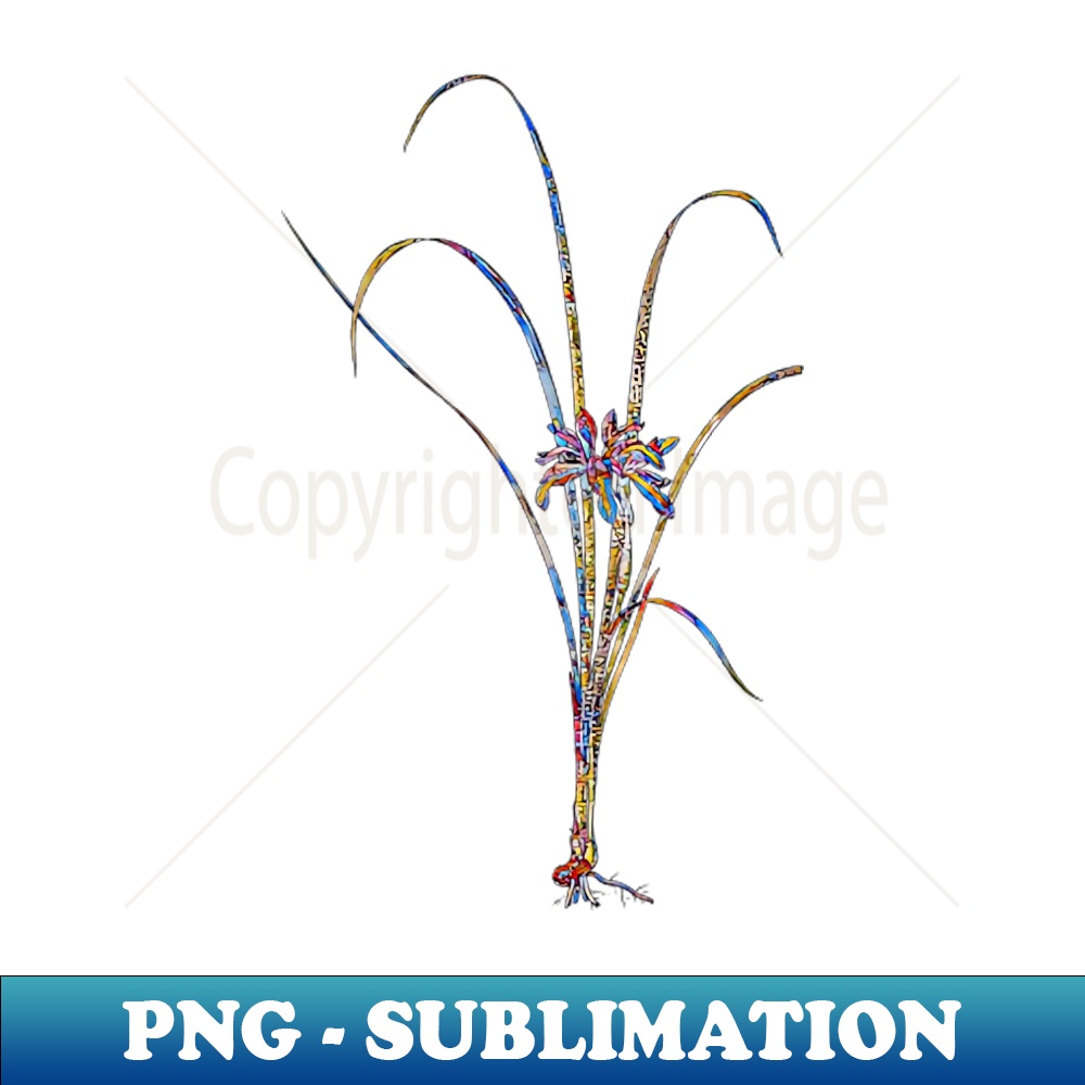 Stained Glass Grass Leaved Iris Botanical Illustration - Mod | Inspire ...