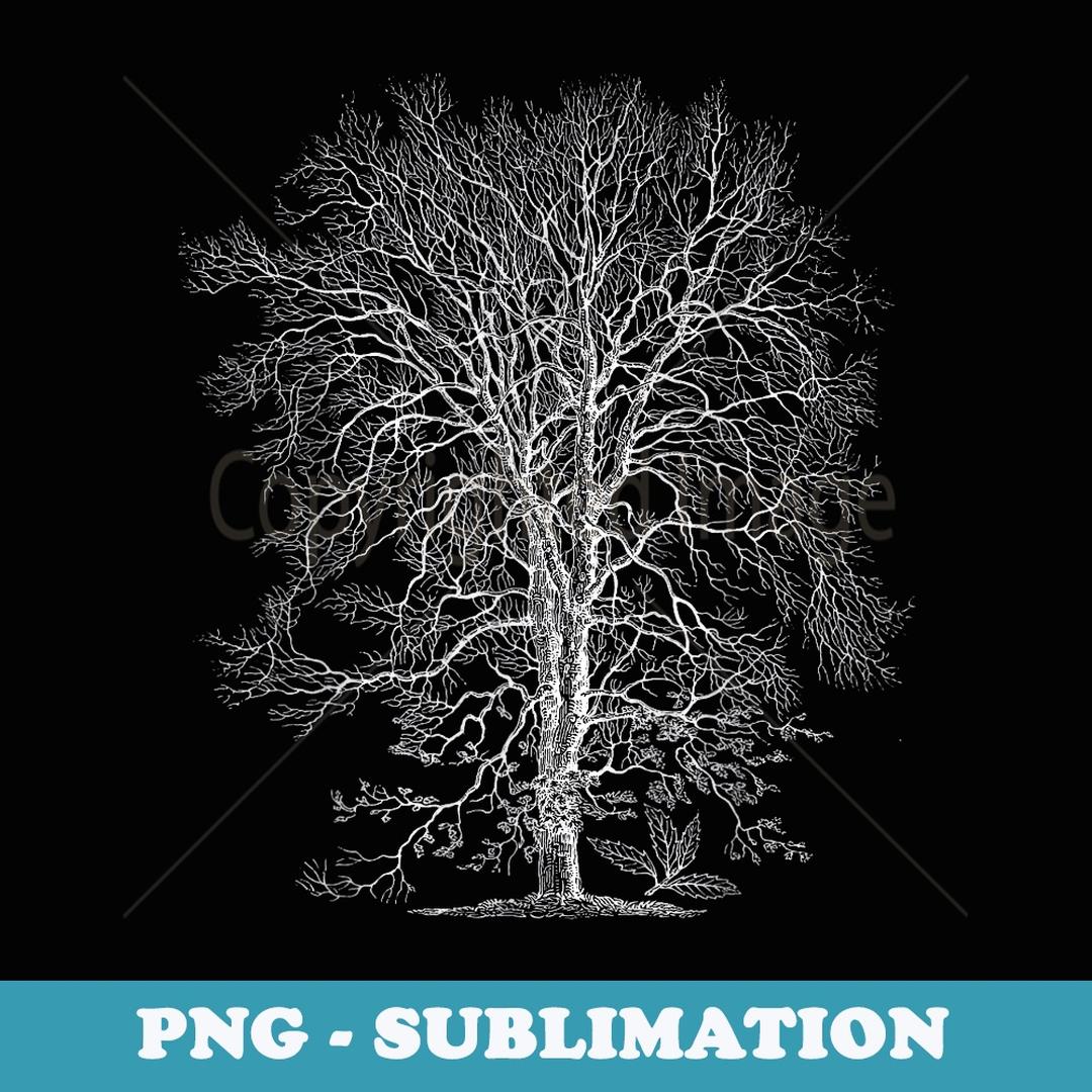Oak Tree Lumberjacking Tree Natural Oak Tree - PNG Transpare | Inspire ...