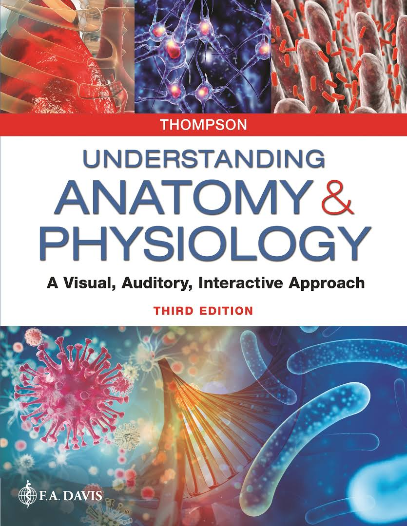 Test Bank For Understanding Anatomy & Physiology A Visual, 2 | Inspire ...