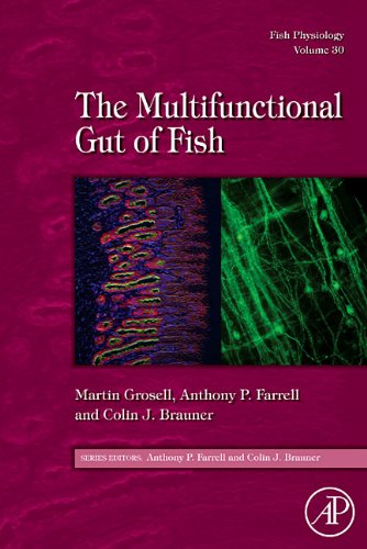 The multifunctional gut of fish 1 PDF instant Download | Inspire Uplift