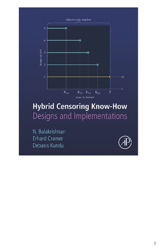 Hybrid Censoring Know-How. Design and Implementations PDF In | Inspire Uplift