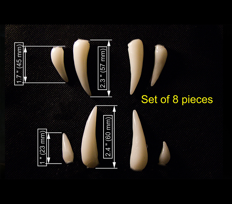 Werewolf fangs Teeth monster Blanks Animal teeth Blanks Set | Inspire ...
