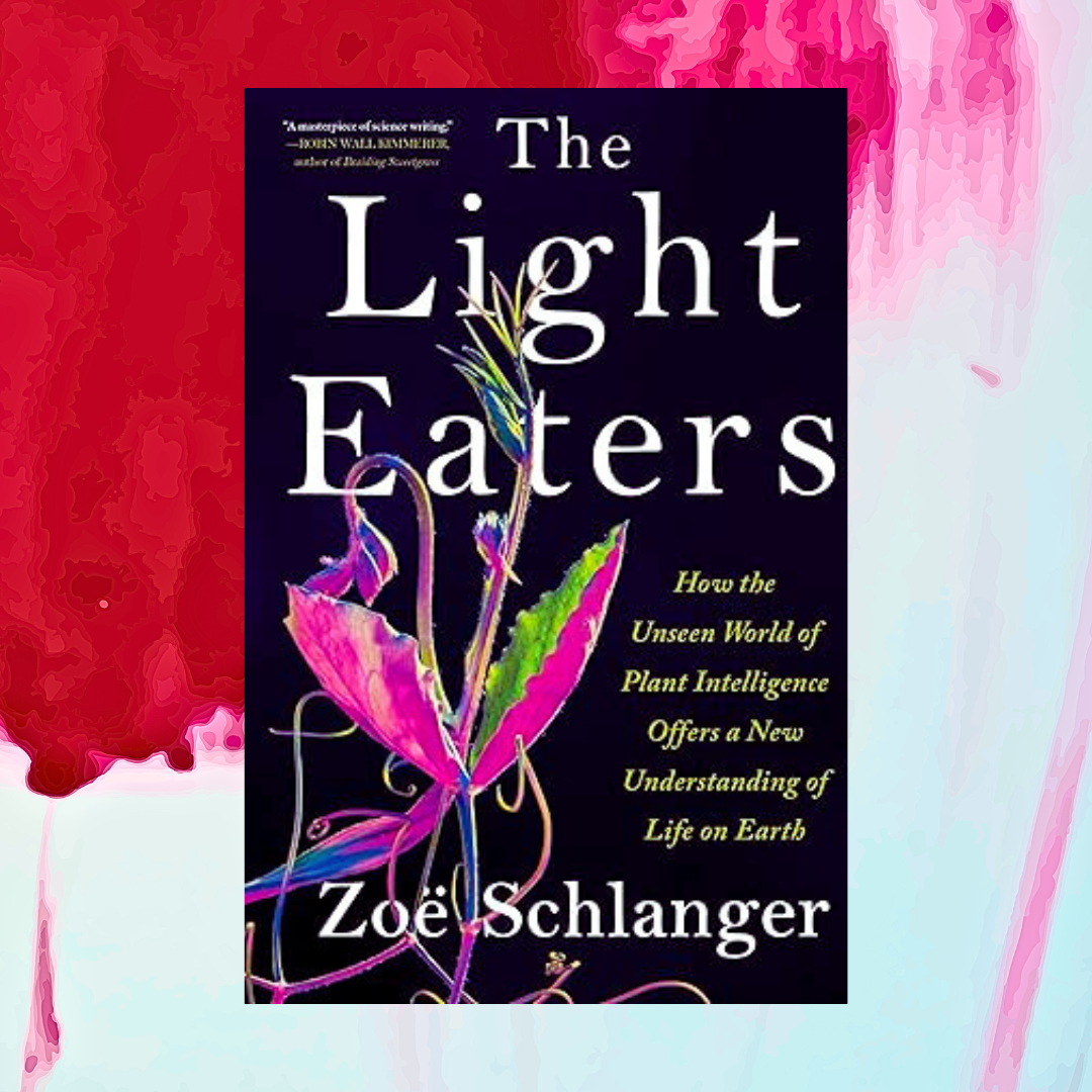 The Light Eaters: How the Unseen World of Plant Intelligence | Inspire ...