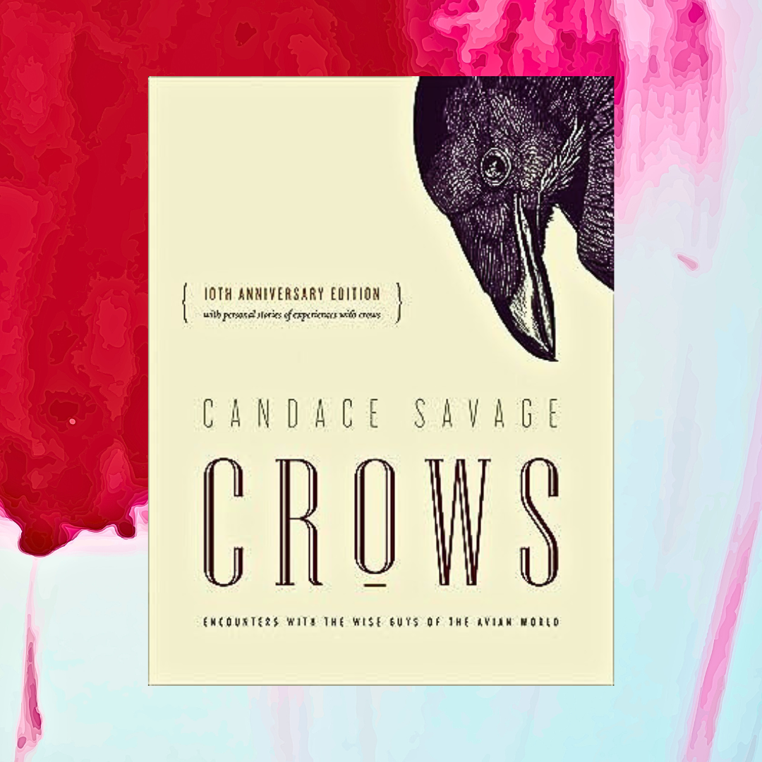 Crows: Encounters with the Wise Guys of the Avian World Digi | Inspire ...