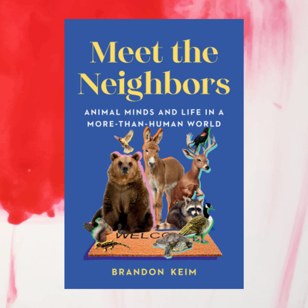Meet the Neighbors Animal Minds and Life in a More-than-Huma | Inspire ...