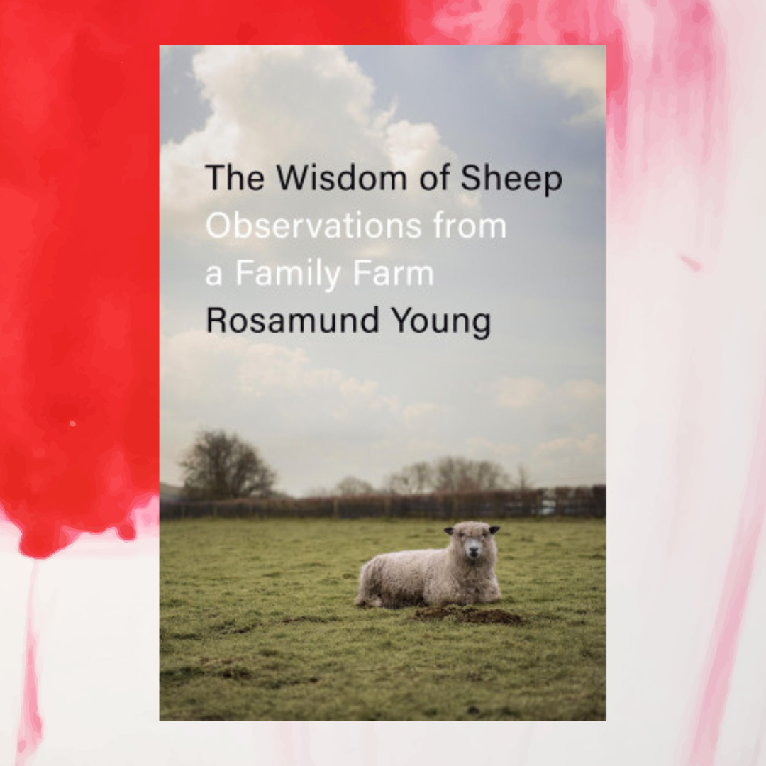 The Wisdom of Sheep: Observations from a Family Farm Downloa | Inspire ...