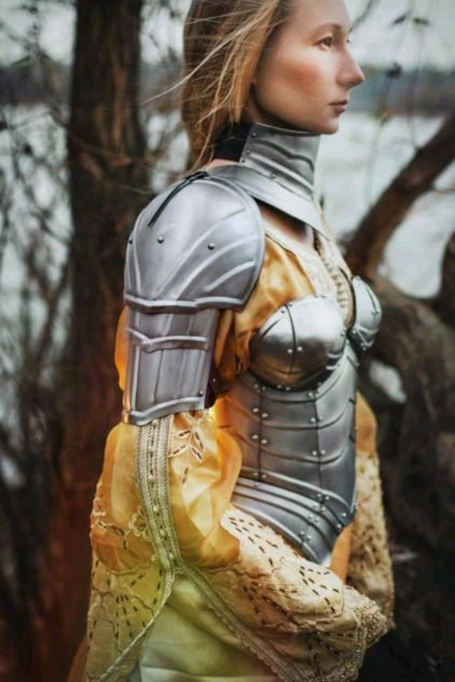 Medieval Warrior Female Armor | Fantasy Antique Lady Armor | | Inspire ...