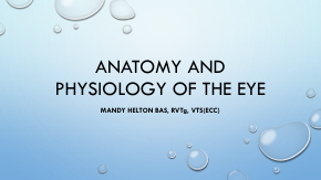 ANATOMY AND PHYSIOLOGY OF THE EYE | Inspire Uplift