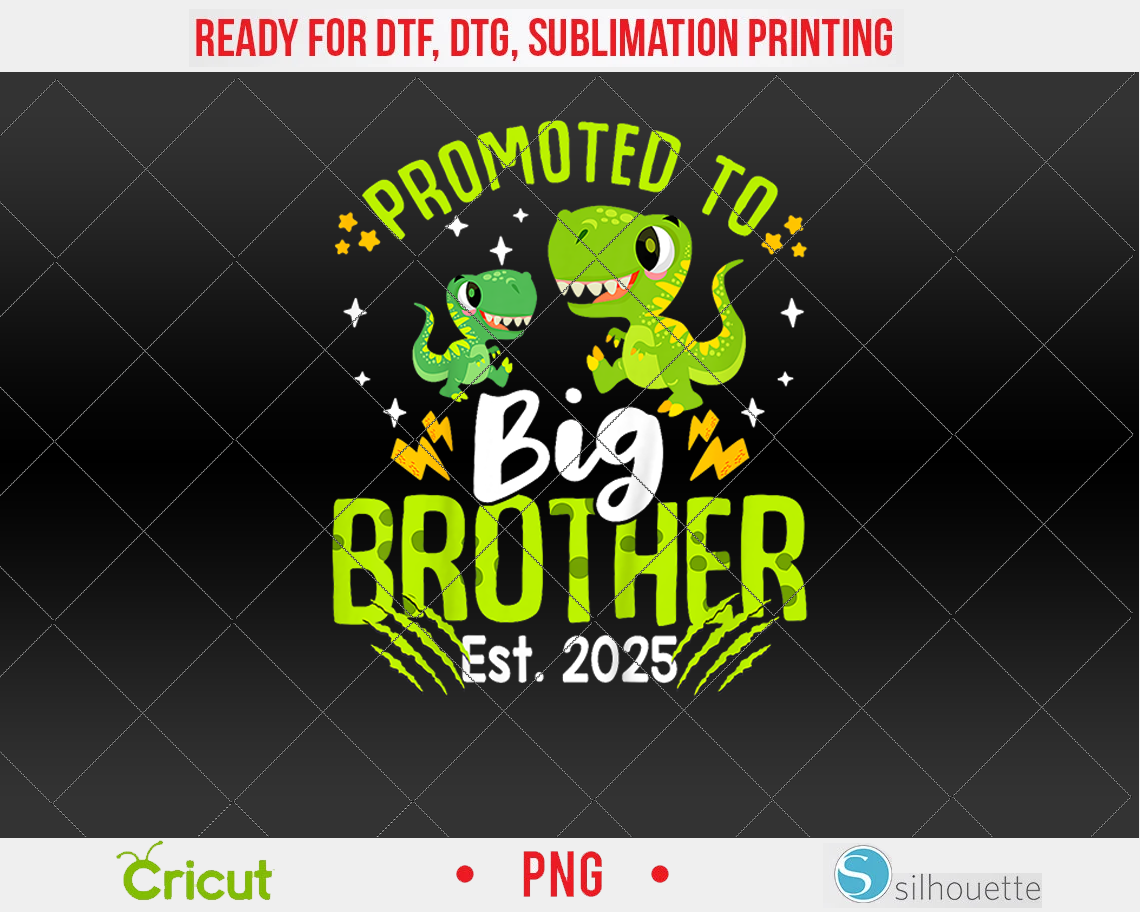 Kids Promoted To Big Brother 2025 Dinosaur T-Rex Boys Toddle | Inspire ...