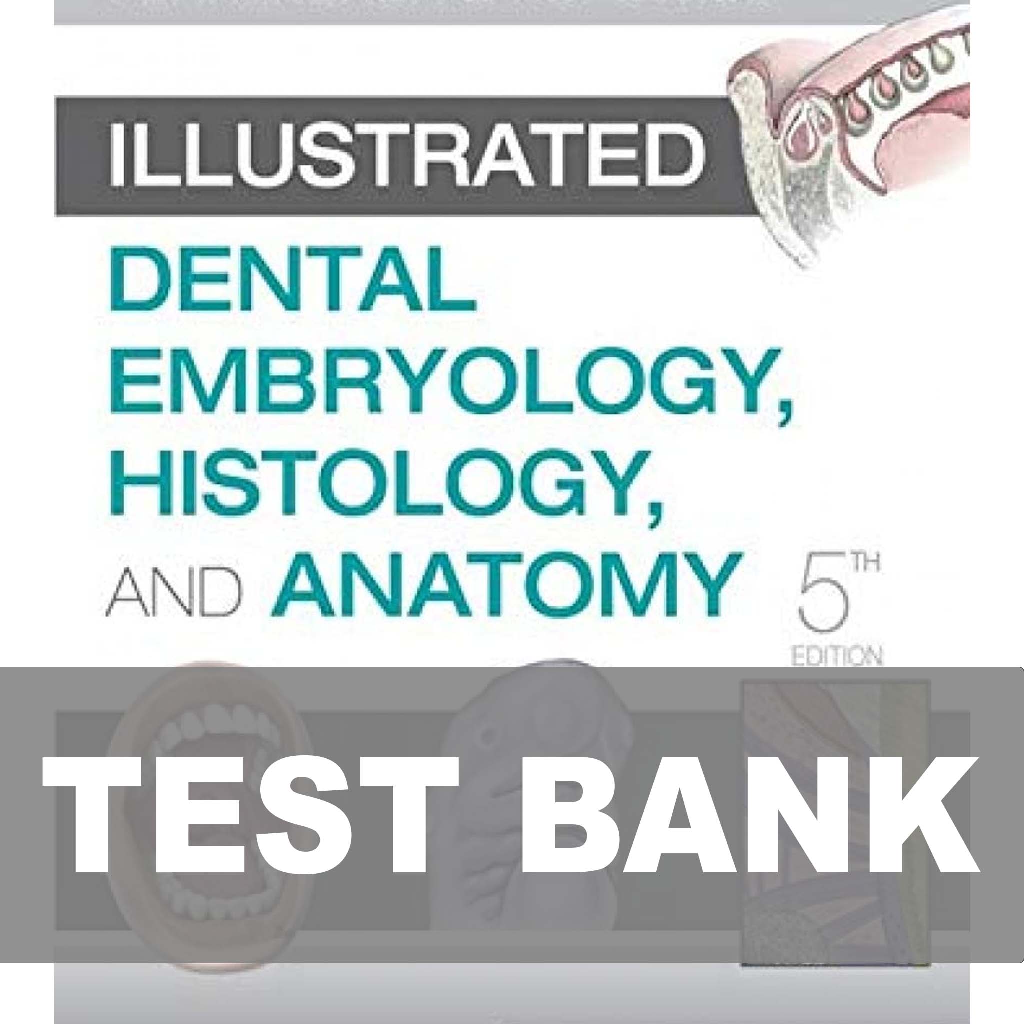 Illustrated Dental Embryology 5th Edition Test Bank | Inspire Uplift