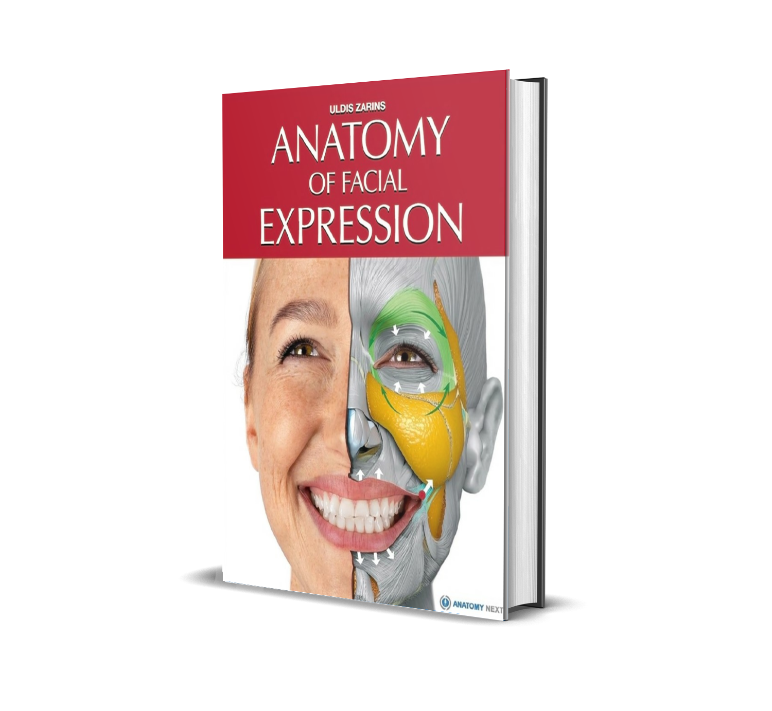 Anatomy of Facial Expressions | Inspire Uplift