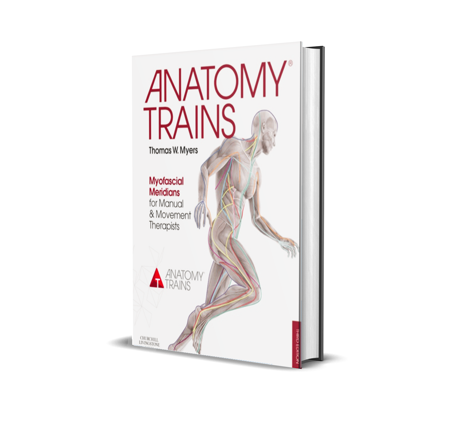 Anatomy Trains | Inspire Uplift